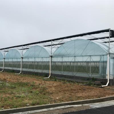 China Customizable Temperature-Controlled Greenhouse for Large-Scale Plant Cultivation for sale
