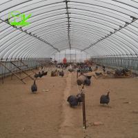 China Film Covered Agricultural Tunnel Greenhouse for Growing Vegetables Fruits and Flowers for sale