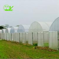 China Film Covered Agricultural Tunnel Greenhouse for Growing Vegetables Fruits and Flowers for sale