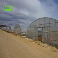 China Film Covered Agricultural Tunnel Greenhouse for Growing Vegetables Fruits and Flowers for sale