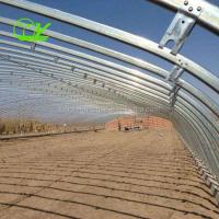 China Film Covered Agricultural Tunnel Greenhouse for Growing Vegetables Fruits and Flowers for sale
