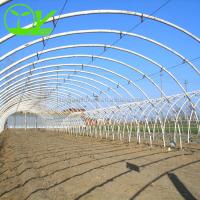 China Large Height 3-10m Polytunnel Greenhouse The Ideal Growing Environment for Your Crops for sale