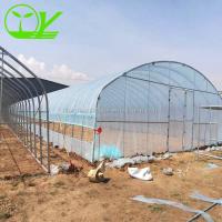China Large Height 3-10m Polytunnel Greenhouse The Ideal Growing Environment for Your Crops for sale