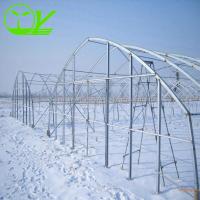 China Large Height 3-10m Polytunnel Greenhouse The Ideal Growing Environment for Your Crops for sale