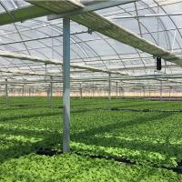 China Double Layer Anti Insect Net for Agriculture Greenhouses Cover Plastic Film Effective for sale