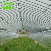 China Large Height 3-10m Polytunnel Greenhouse The Ideal Growing Environment for Your Crops for sale