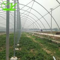 China Large Height 3-10m Polytunnel Greenhouse The Ideal Growing Environment for Your Crops for sale