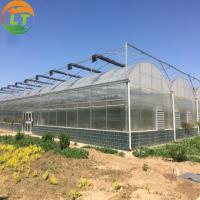 China PE Strawberry Insulation Agricultural Greenhouses for Plants Growing and Affordable for sale