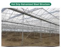China PE Strawberry Insulation Agricultural Greenhouses for Plants Growing and Affordable for sale