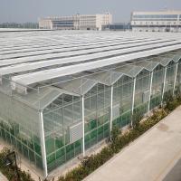 China Full Set of Agricultural Greenhouses with Galvanized Skeleton and Easy to Install for sale