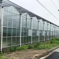 China Full Set of Agricultural Greenhouses with Galvanized Skeleton and Easy to Install for sale