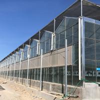 China Full Set of Agricultural Greenhouses with Galvanized Skeleton and Easy to Install for sale