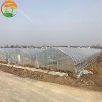 China Single-Span Agricultural Greenhouse for Cultivation of Vegetables Fruits and Flowers for sale