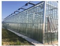 China Full Set of Agricultural Greenhouses with Galvanized Skeleton and Easy to Install for sale