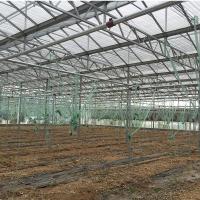 China Full Set of Agricultural Greenhouses with Galvanized Skeleton and Easy to Install for sale