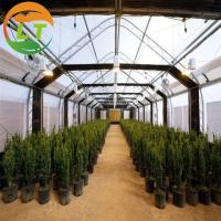 China Customizable Sides Ventilation Mushroom Greenhouse for Year-Round Production for sale