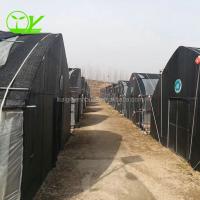 China Single-Span Agricultural Greenhouses for Commercial Stable Structure Easily Assembled for sale
