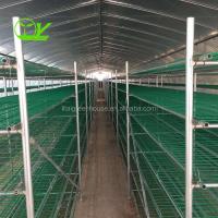 China Single-Span Agricultural Greenhouses for Commercial Stable Structure Easily Assembled for sale