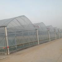 China Hot-Dipped Galvanized Frame Multi-Span Greenhouse For Large-Scale Crop Production for sale