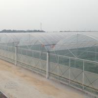 China Multi Span Polytene Film Agricultural Greenhouse with Automatic Controlling System for sale