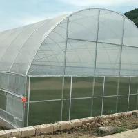 China Multi Span Polytene Film Agricultural Greenhouse with Automatic Controlling System for sale