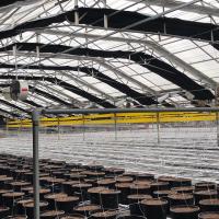 China Length 30-100m Hoop House Light Deprivation Greenhouses for Mushroom Large for sale