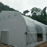 China Length 30-100m Hoop House Light Deprivation Greenhouses for Mushroom Large for sale