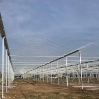 China Multi Span Polytene Film Agricultural Greenhouse with Automatic Controlling System for sale
