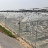 China Multi Span Polytene Film Agricultural Greenhouse with Automatic Controlling System for sale