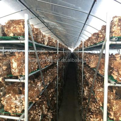 China Greenhouse Design for Small Fish Farming and Poultry Cultivation Length Customizable for sale
