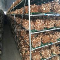 China Greenhouse Design for Small Fish Farming and Poultry Cultivation Length Customizable for sale