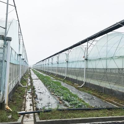 China Easy to Install Agriculture Multi-Span Film Greenhouse with Hydroponic Growing System for sale