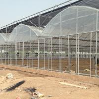 China Easy to Install Agriculture Multi-Span Film Greenhouse with Hydroponic Growing System for sale