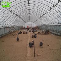 China Customized Color Single-Span Greenhouse Perfect for Poultry Farm Design and Efficiency for sale