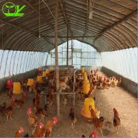 China Customized Color Single-Span Greenhouse Perfect for Poultry Farm Design and Efficiency for sale