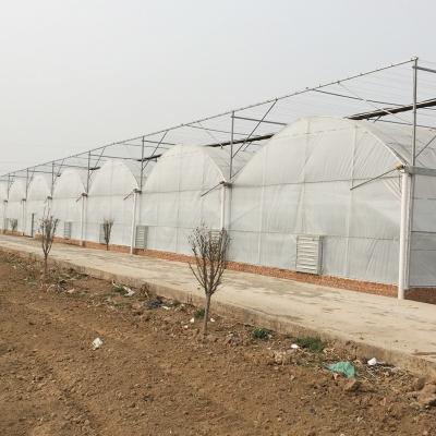 China Indoor or Greenhouse Planting Made Easy with Food Grade PVC Hydroponic Growing System for sale