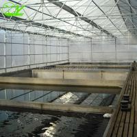 China Customized Color Single-Span Greenhouse Perfect for Poultry Farm Design and Efficiency for sale