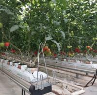 China Indoor or Greenhouse Planting Made Easy with Food Grade PVC Hydroponic Growing System for sale