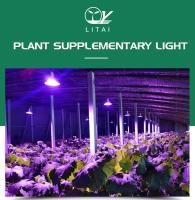 China LED Plant Growth Lamp Full Spectrum High Power Complement Lamp for sale