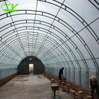 China Customized Color Single-Span Greenhouse Perfect for Poultry Farm Design and Efficiency for sale