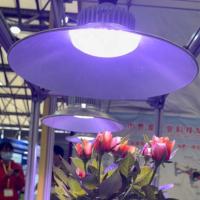 China LED Plant Growth Lamp Full Spectrum High Power Complement Lamp for sale