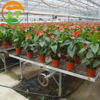 China Blackout Greenhouse Hydroponic Growing Systems for Large Areas and Customizable Length for sale