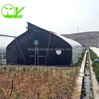 China Single-Span Agricultural Greenhouse Mini Mushroom Greenhouse with Optional Irrigation for sale