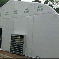 China Single-Span Agricultural Greenhouse Mini Mushroom Greenhouse with Optional Irrigation for sale