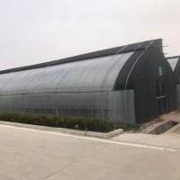 China Single-Span Agricultural Greenhouse Mini Mushroom Greenhouse with Optional Irrigation for sale