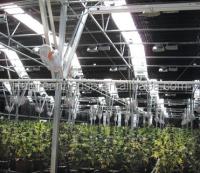 China Vegetable Fruits Flowers Agricultural Light Deprivation Greenhouse with Plastic Shed for sale