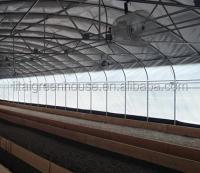 China Vegetable Fruits Flowers Agricultural Light Deprivation Greenhouse with Plastic Shed for sale