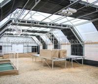 China Vegetable Fruits Flowers Agricultural Light Deprivation Greenhouse with Plastic Shed for sale