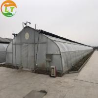 China PE Film Blackout Light Deprivation Greenhouse for Small-Scale Farming Solutions for sale