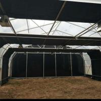 China 2.8-3.5m Roof Height Blackout Light Deprivation Greenhouse for Herbs Tomato and Flowers for sale